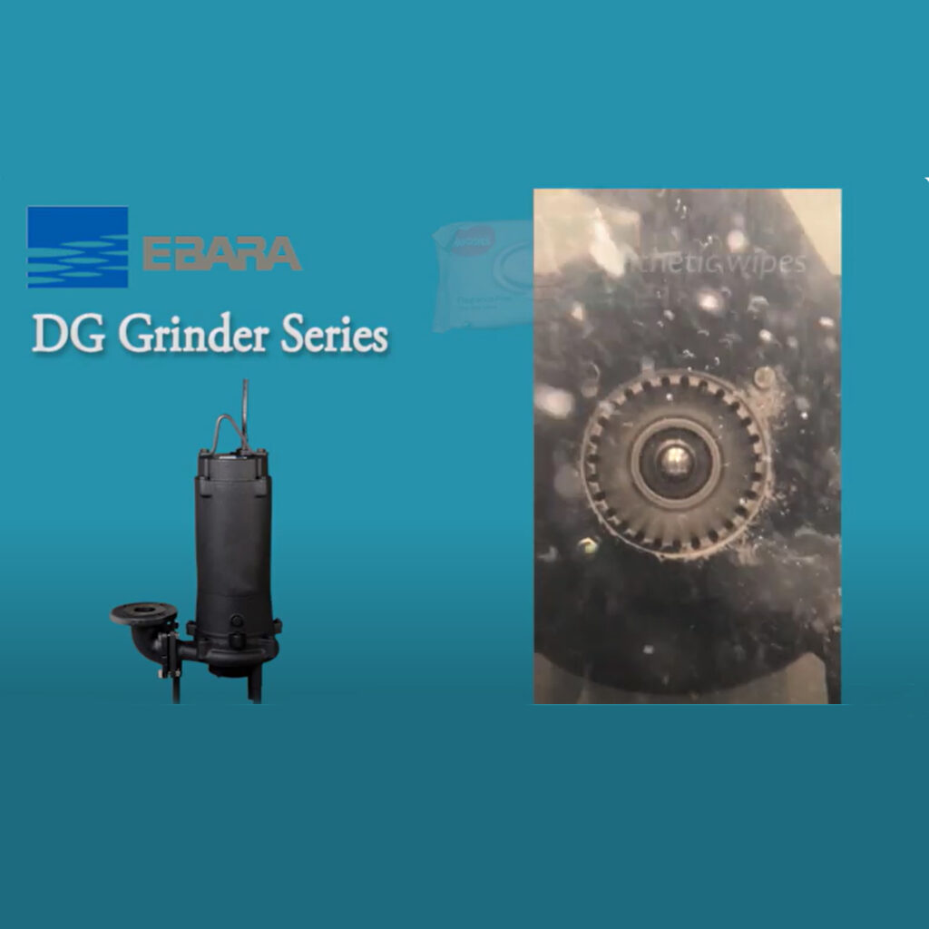 DG – Ebara